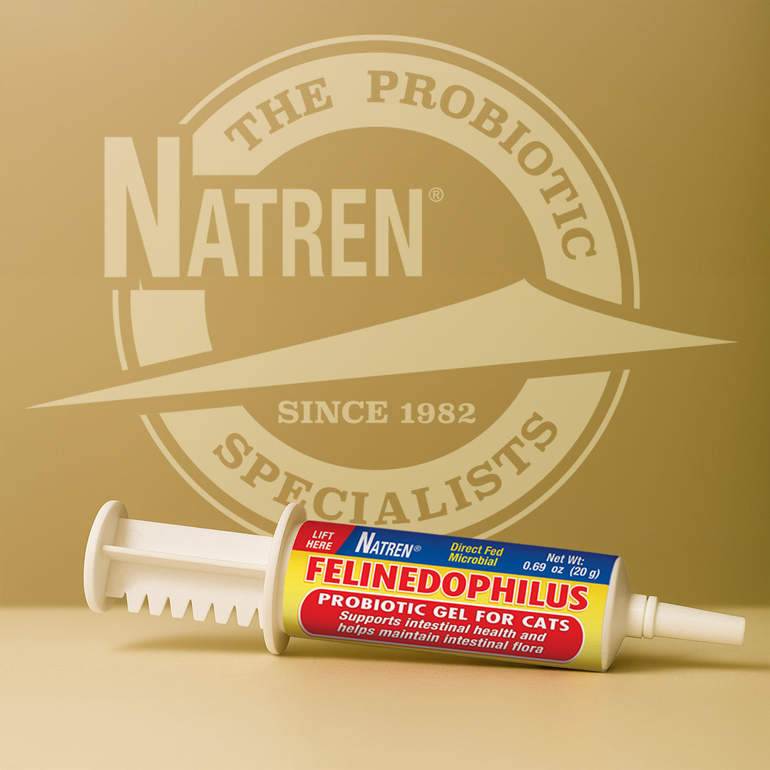 Natren Felinedophilus, Probiotics For Cats, Supports Intestinal Health